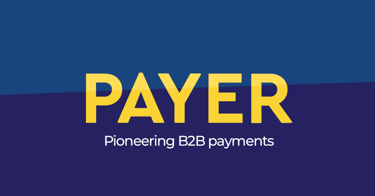 Swedish FinTech Payer launches beta test program with B2B merchants ...