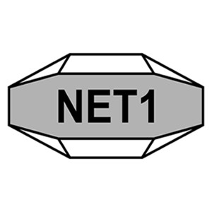 Net1 appoints Naeem Kola as Group Chief Financial Officer